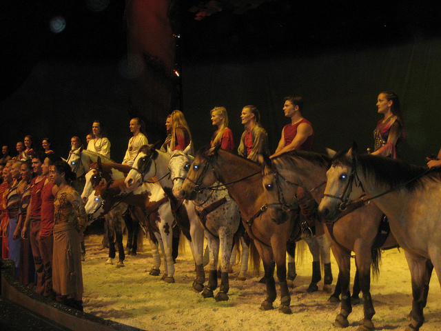 Cavalia: Magic Between Horse and Rider - Writing Horseback