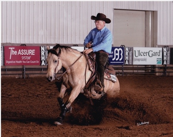 Reining: Understanding the Sport - Writing Horseback