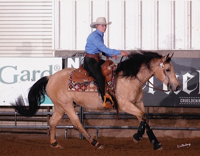 Reining: Understanding the Sport - Writing Horseback