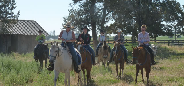 5 Places to Ride Horses in Central Oregon - Writing Horseback
