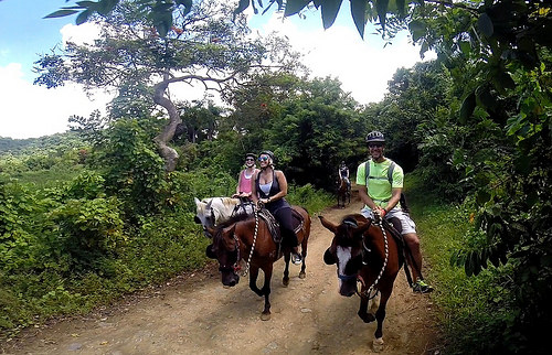 Horseback Riding in San Juan with MSC Divina - Writing Horseback