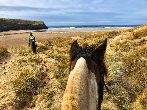 Horse Riding in Donegal County, Ireland - Writing Horseback