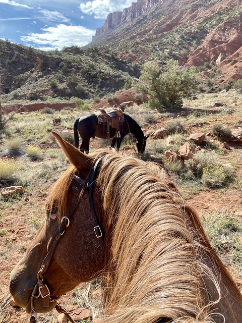 Horseback Riding in Moab Utah - Writing Horseback