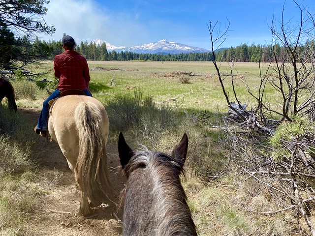 Horseback Riding in Sisters, Oregon - Writing Horseback